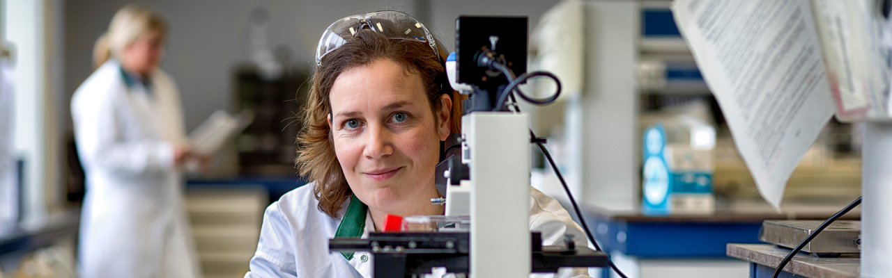 FUJIFILM Manufacturing Europe B.V.