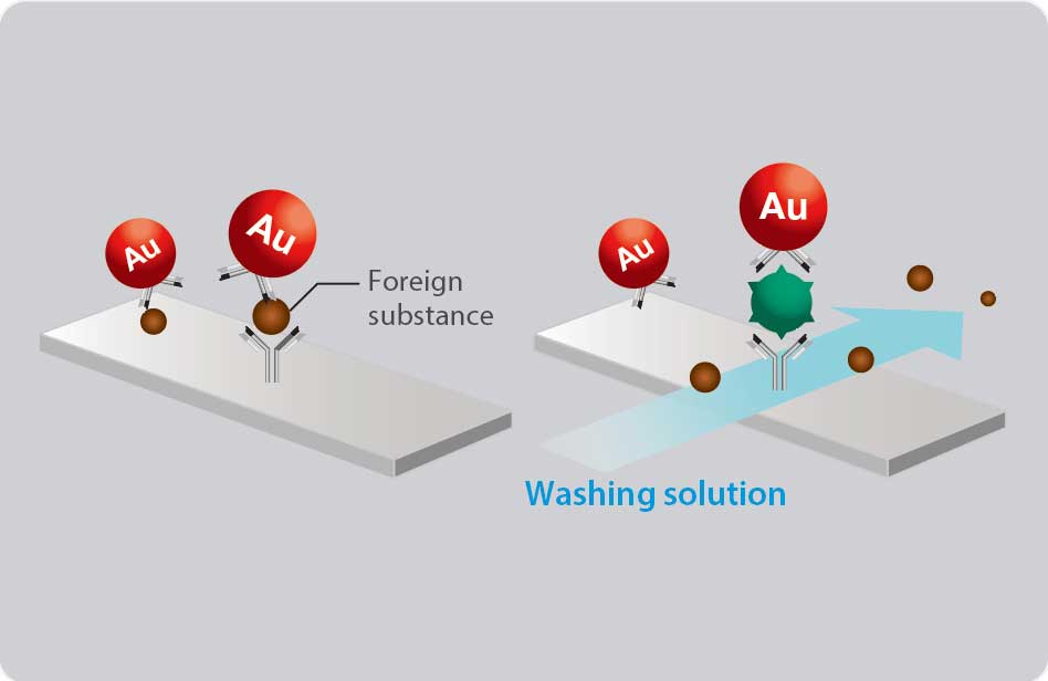 DRI-CHEM IMMUNO AG2 | Fujifilm [India]