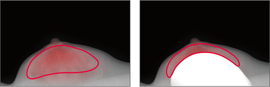 AMULET SOPHINITY：機能性 | 富士フイルム [日本]
