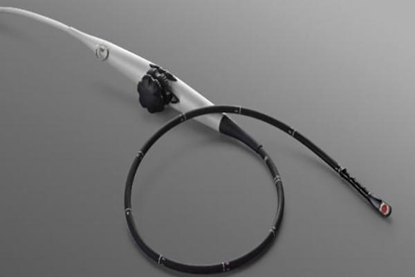 SonoSite EdgeII : Transductores | Fujifilm [México]