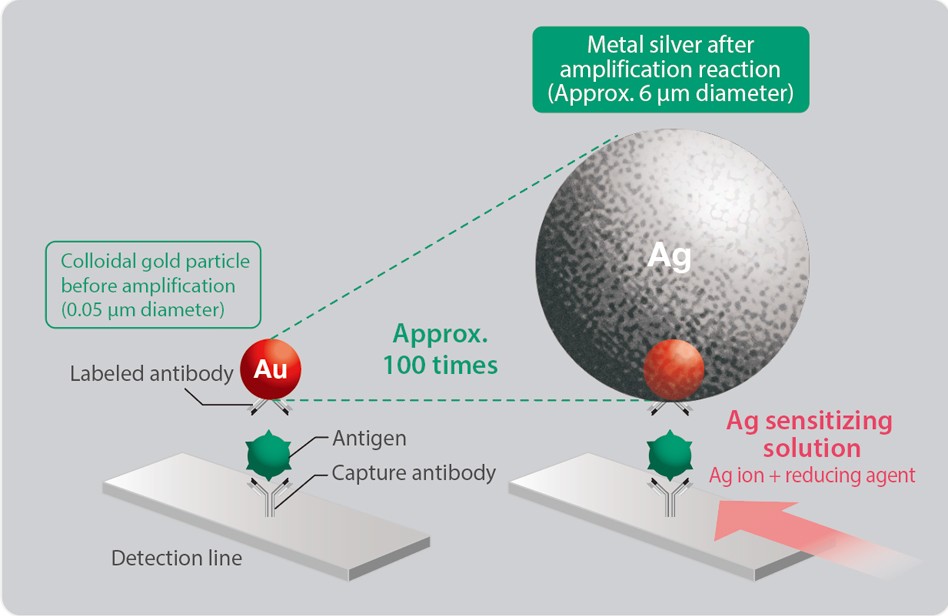 DRI-CHEM IMMUNO AG2 | Fujifilm [Singapore]